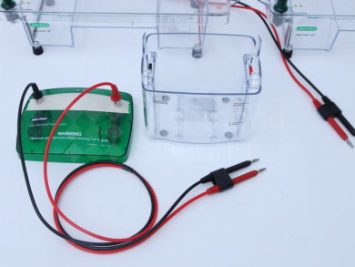 Bio-Rad Mini Protean Tetra System - Richmond Scientific