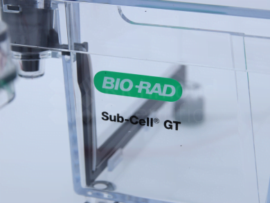 Bio-Rad Mini Protean Tetra System - Richmond Scientific