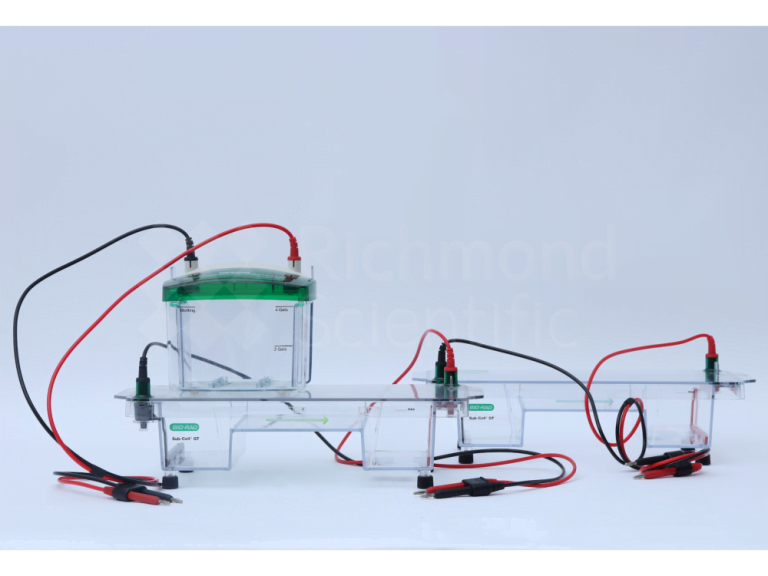 Bio-Rad Mini Protean Tetra System - Richmond Scientific