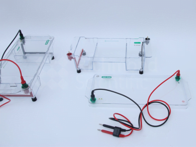 Bio-Rad Mini Protean Tetra System - Richmond Scientific