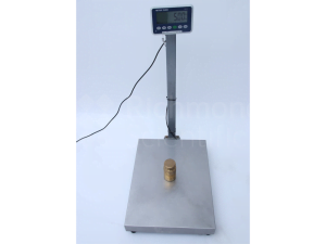 Mettler Toledo BBA231-3BC300A Bench Scale - Richmond Scientific