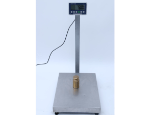 Mettler Toledo BBA231-3BC300A Bench Scale - Richmond Scientific