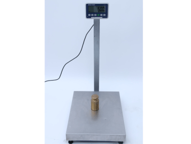 Mettler Toledo BBA231-3BC300A Bench Scale - Richmond Scientific