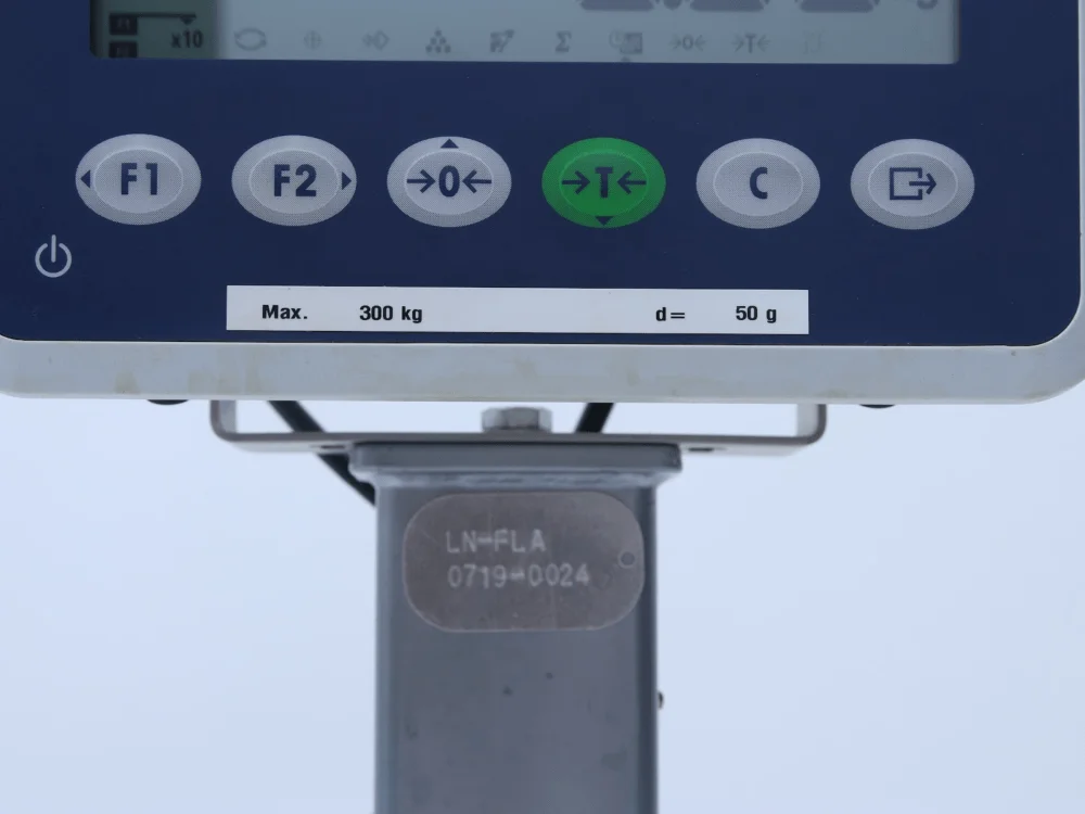 Mettler Toledo BBA231-3BC300A Bench Scale - Richmond Scientific